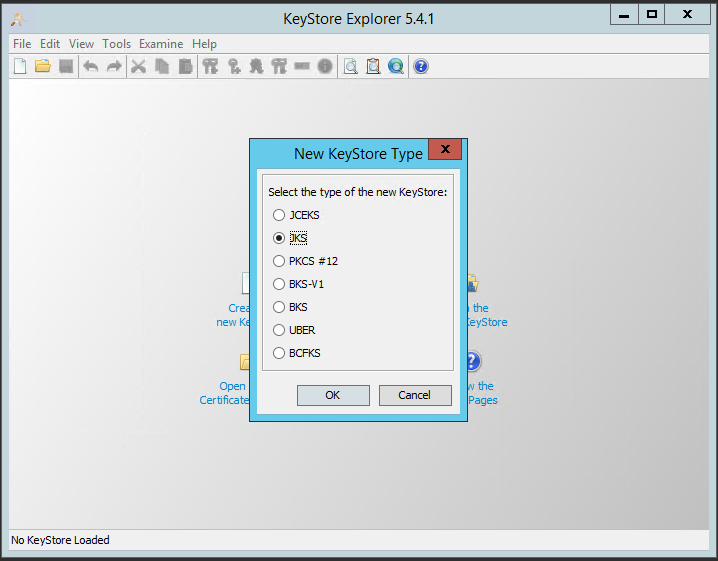 Chrome Not Secure - Subject Alternate Name Guide